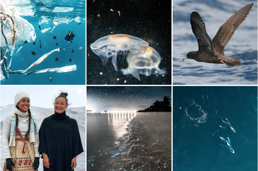 Campaigning for a healthier ocean with Ocean. Now! - Howell & Howell